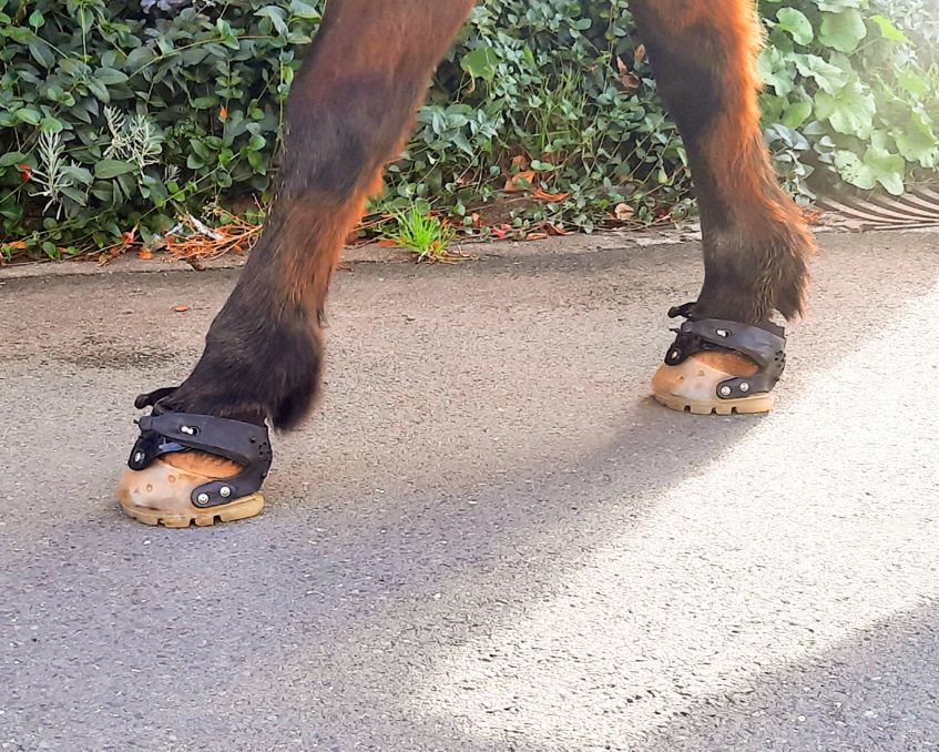 Hufschuhe-Lichtenfels - Floating Boots