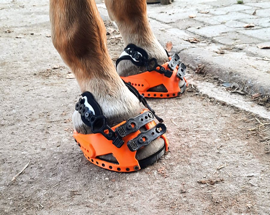 Hufschuhe-Lichtenfels - Goodsmith